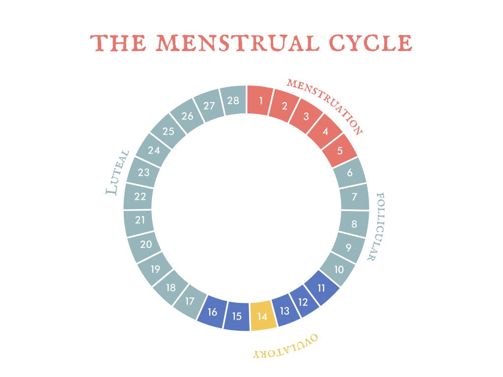 Signs + Symptoms of Low Progesterone | Progesterones Role In Pregnancy ...